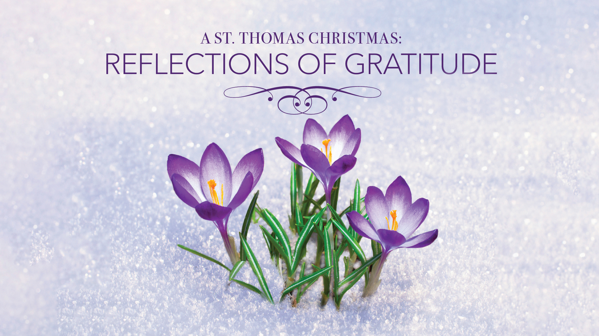 ST. THOMAS CHRISTMAS: REFLECTIONS OF GRATITUDE - KLCS